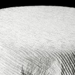 White Crinkle – Plants N' Petals